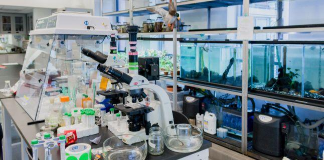 Dotarea unui laborator performant - care sunt echipamentele necesare?